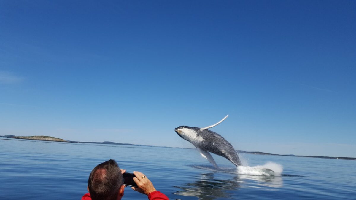 Charlotte County and Fundy Isles - New Brunswick Immigration
